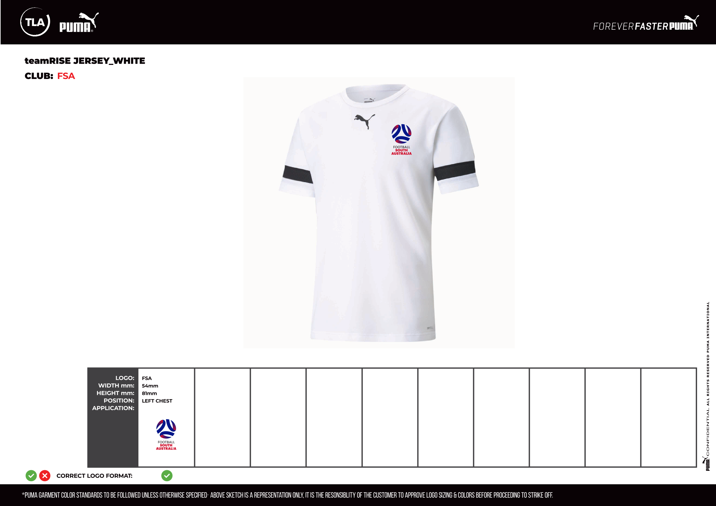 FSA White Team Rise Jersey